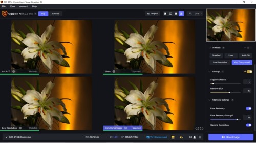 Télécharger Topaz Gigapixel AI - Photo, IA - Les Numériques