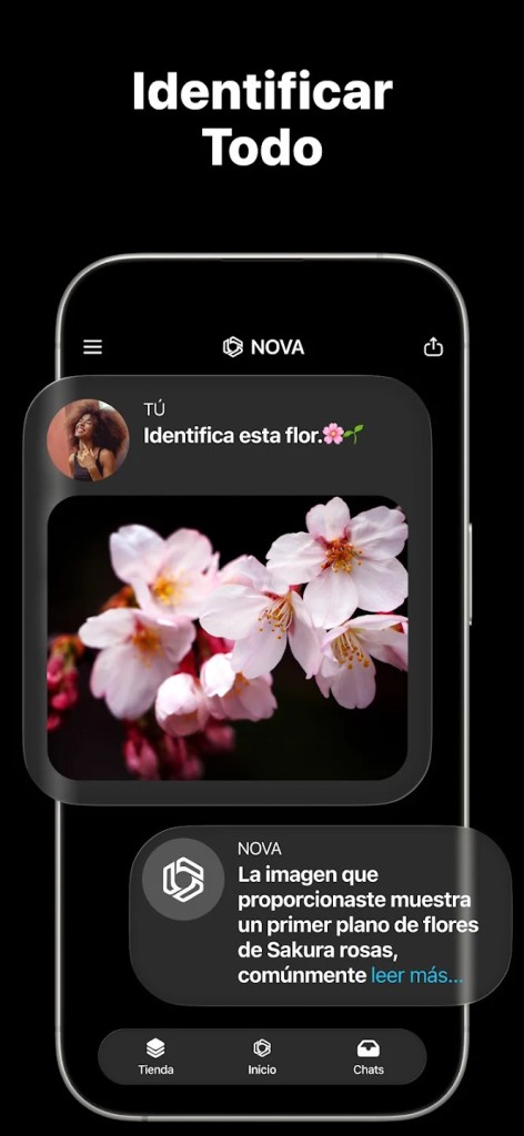 Descargar Chatbot IA Español - Nova (gratis) para macOS, Android, iOS y Web App | Gizmodo