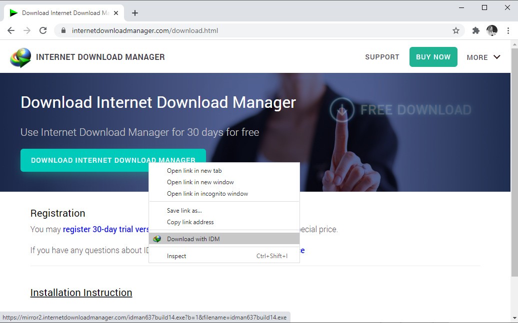 Download Internet Download Manager (IDM) for Windows | Gizmodo