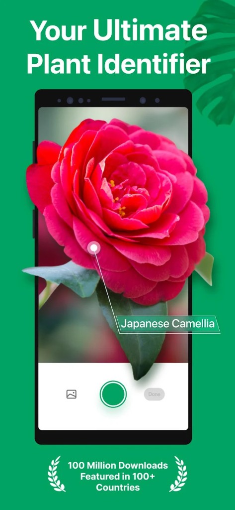 Download PictureThis Plante Identifier (free) for Android, APK, iOS and Web App | Gizmodo