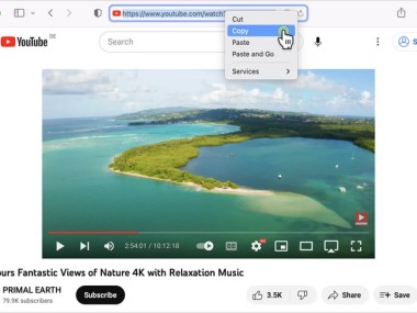 Download 4k Video Downloader Plus (free) for Windows, macOS, Android ...