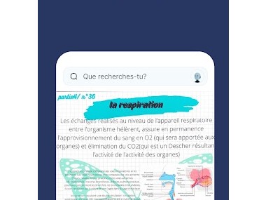 Télécharger Knowunity: revision & devoir. pour Android, iOS et APK - Frandroid