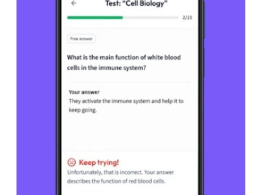 Télécharger StudySmarter: Flashcards, Note en version APK, Android, iOS ...