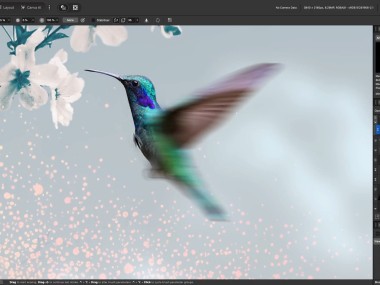 Download Affinity by Canva (free) for Windows and macOS | Gizmodo