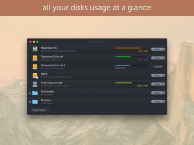 Download DaisyDisk for macOS | Gizmodo