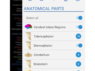 Télécharger IMAIOS e-Anatomy en version APK, Android, iOS, Service en ...