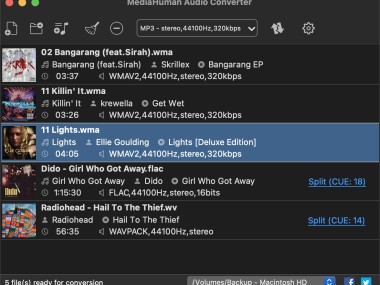 Descargar MediaHuman Audio Converter (gratis) para Windows y macOS | Gizmodo