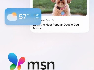 Download MSN (free) for Android, APK, iOS and Web App | Gizmodo