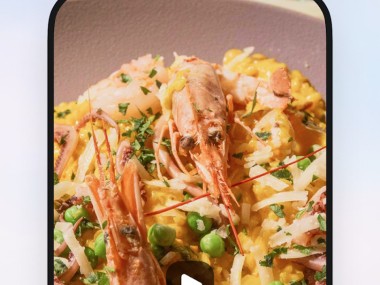 Download MSN (free) for Android, APK, iOS and Web App | Gizmodo