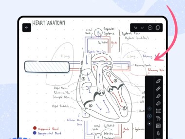 Descargar Notability para macOS y iOS | Gizmodo