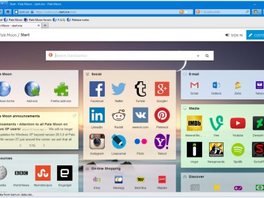 Descargar Pale Moon (gratis) para Windows, macOS y Linux | Gizmodo
