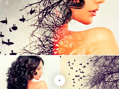 Télécharger Photo Lab pour Android, iOS, Service en ligne et APK ...