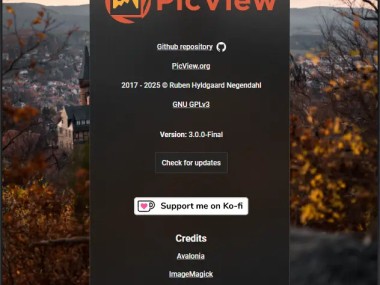 Télécharger PicView en version Windows - Numerama