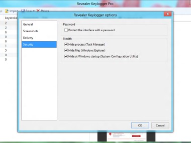 Télécharger Revealer keylogger en version Windows - Numerama