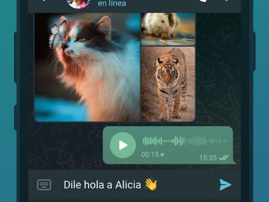 Descargar Telegram (gratis) para Windows, macOS, Android, APK, iOS, Linux y Web App | Gizmodo